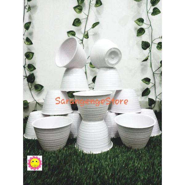 Jual Pot tawon putih 10 cm/ pot madu 10/ pot goccie 10/ pot tanaman 10 ...