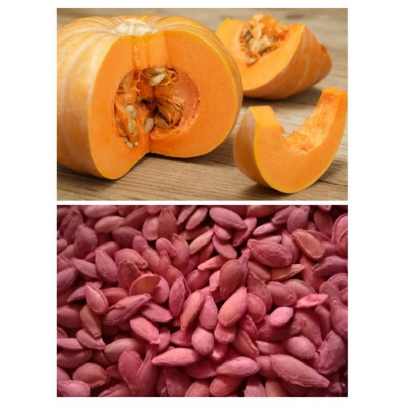 Jual 100 biji benih waloh labu kuning manis pulen unggulan | Shopee ...