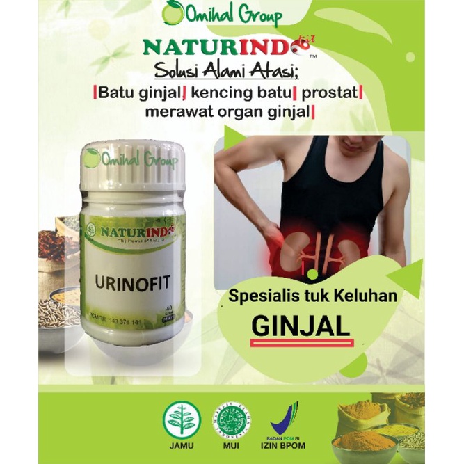 Jual OBAT GINJAL BOCOR - BENGKAK - BATU GINJAL - URIN BERBUSA - SUSAH ...