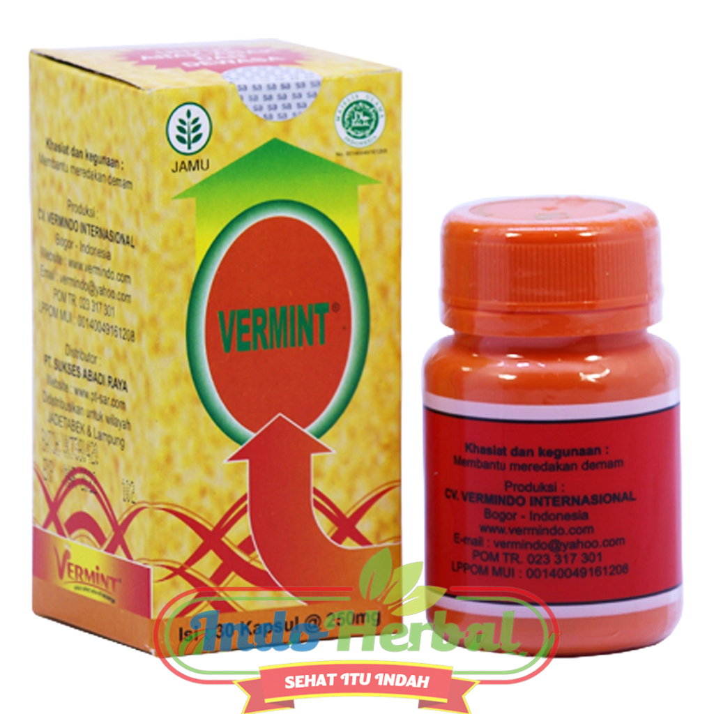 Jual Vermint | Vermin | Obat Penyakit Tifus / Tipes / Typus 30 Kapsul ...