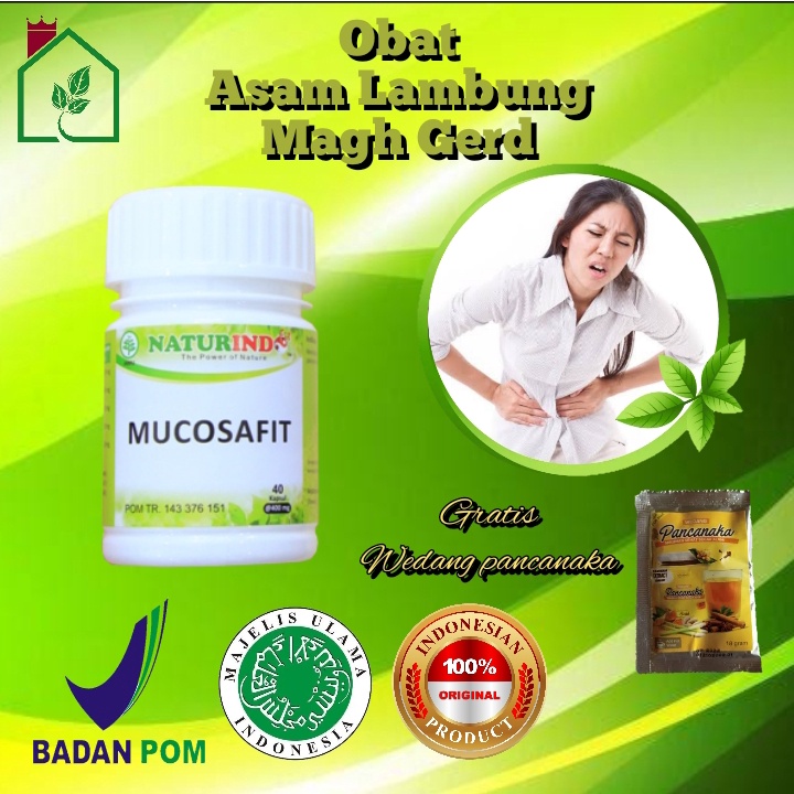 Jual Obat Herbal Asam Lambung Obat Maag Kembung Nyeri Lambung Magh ...