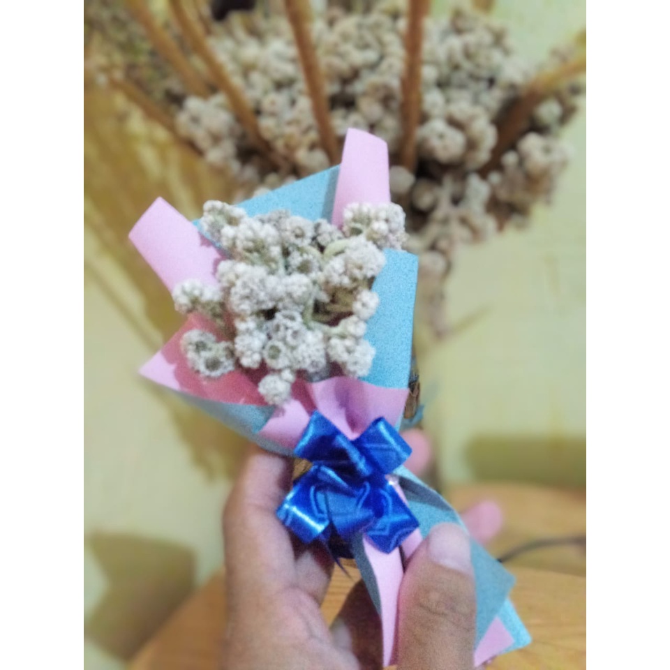 Jual Bahan Buket Bunga Budidaya Bunga Kering Edelweis Bahan Buket Kado
