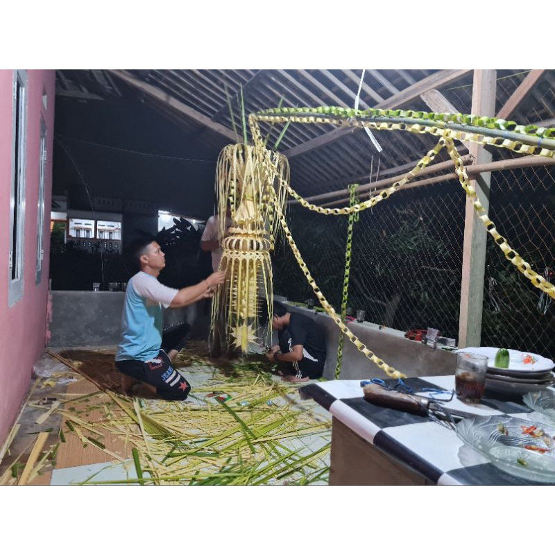 Jual janur hajatan Harga Terbaik & Termurah September 2022 | Shopee ...