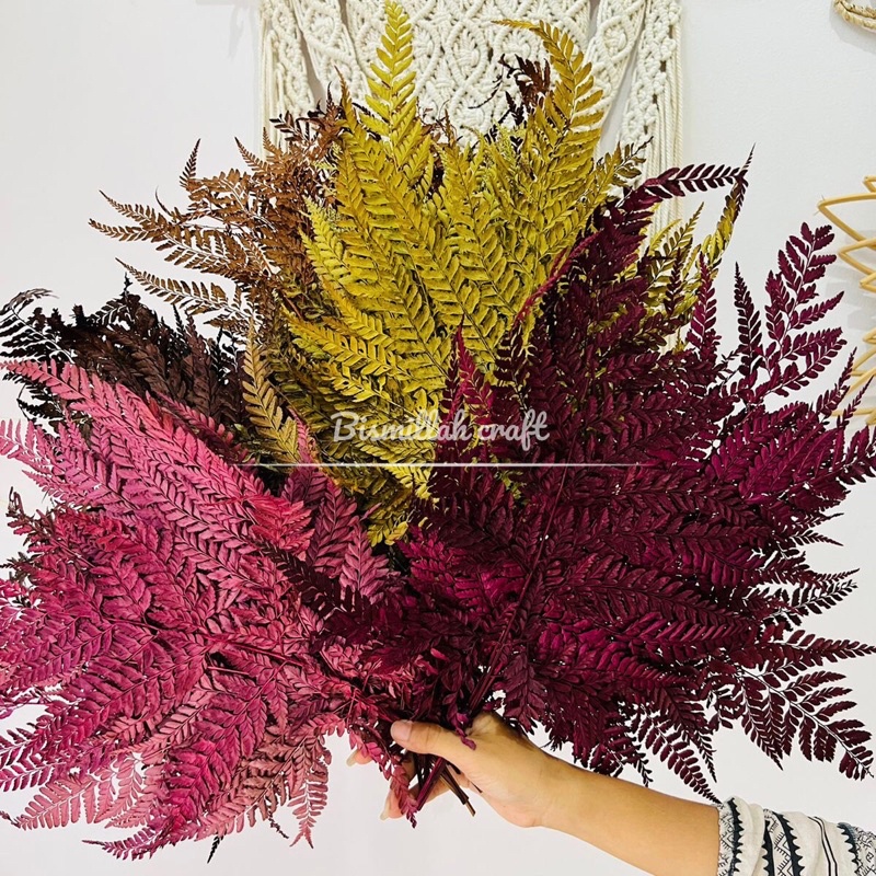 Jual TERMURAH !!! DAUN PAKIS HARGA PERTANGKAI DAUN PAKIS HIASAN BUKET ...