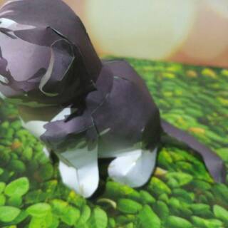 Jual Papercraft kucing | Shopee Indonesia