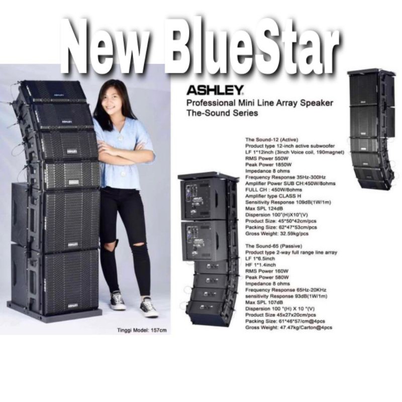 Jual Speaker Line Array Ashley The Sound Series 6.5 inch Sub 12 inch ...