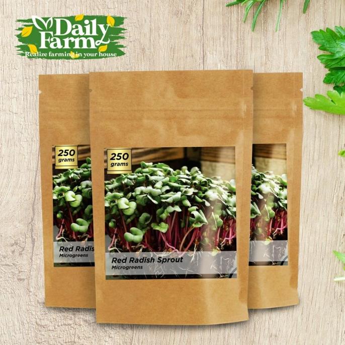 Jual Benih Sayur Microgreens Red Radish Sprout ( 250 Gram ) | Shopee Indonesia