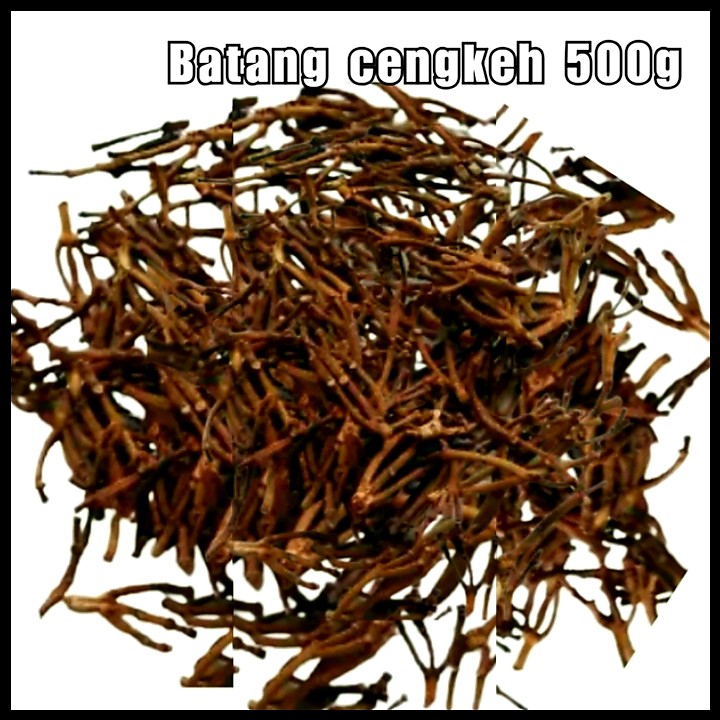 Jual BATANG CENGKEH/GAGANG CENGKEH 500 GRAM | Shopee Indonesia