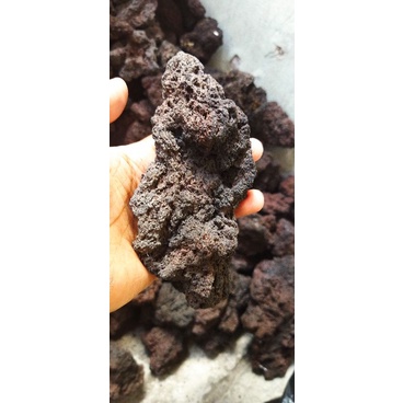 Jual BATU LAVA ROCK UNTUK MEDIA FILTER/BONSAI AQUASCAPE 1KG | Shopee ...