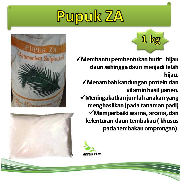 Jual Pupuk ZA kemasan repack 1kg | Shopee Indonesia