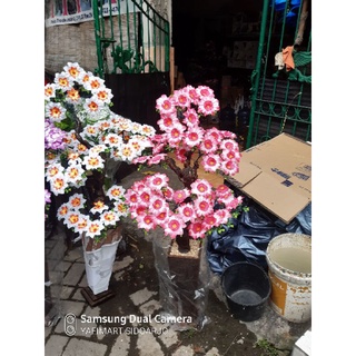 Jual Bunga Rangkaian pohon bunga hawai dengan pot jumbo bunga ...