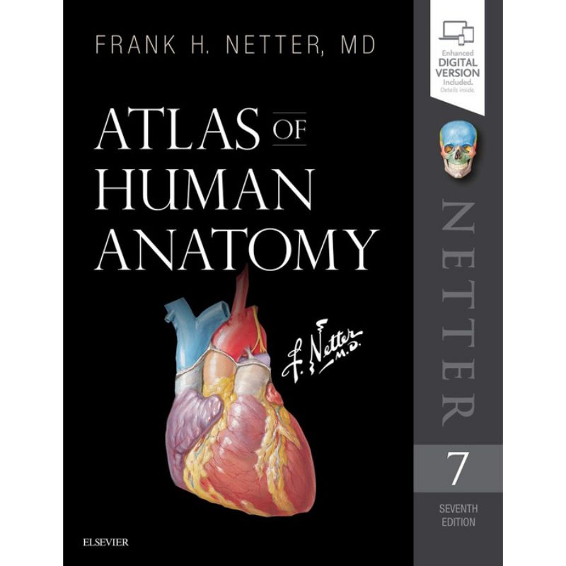 Jual BUKU ORIGINAL ATLAS ANATOMI MANUSIA NETTER LATIN DAN BAHASA 