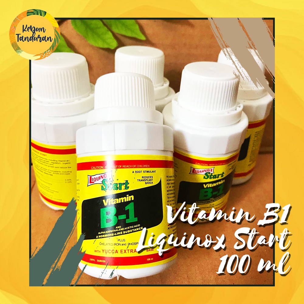 Jual Vitamin B1 ASLI Liquinox Start 100 ml Original - Pupuk Cair & ZPT ...