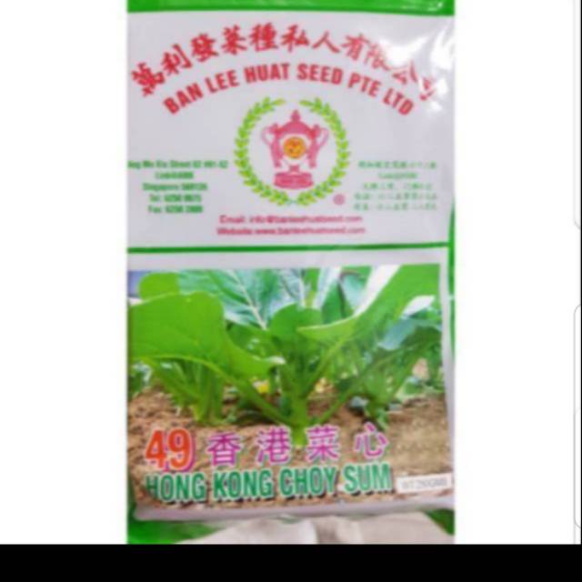 Jual Benih sawi hong kong 250 gram | Shopee Indonesia
