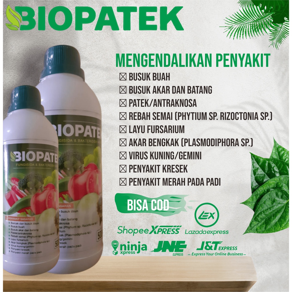Jual 500 ML Biopatek Atasi Kerdil Rumput Hampa Padi Tanpa Isi Fungisida Terbaik Atasi Padi ...