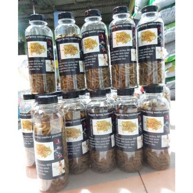 Jual Magot kering BSF/maggot kering/magot kering kemasan botol 250 ml ...