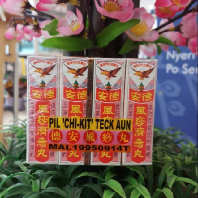 Jual PIL CHI-KIT TECK AUN obat sakit perut , diare & masuk angin ...