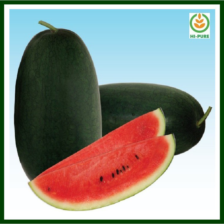 Jual CAP PANAH MERAH SEMANGKA LONJONG HIBRIDA PALGUNA F1 ISI 30 BENIH ...