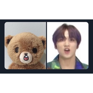 Jual GOMDO LEE DOLL KEYRING NCT HAECHAN KEYRING BEAR BONEKA | Shopee ...