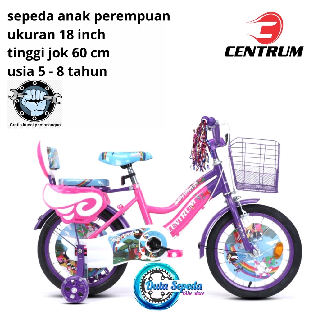 Jual sepeda anak perempuan 18 inch usia 5, 6, sampai 8 tahun Indonesia ...