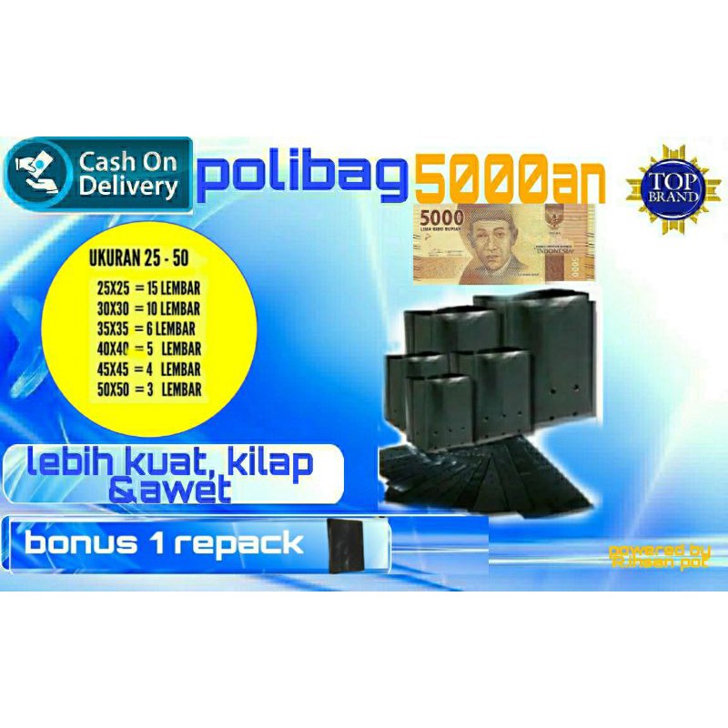 Jual Polybag Serba 5000 Polibek Tanaman Murah Tebal dan Kuat | Shopee ...