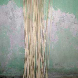 Sebat rotan untuk kesehatan/pijat rotan/terapi rotan | Shopee Indonesia