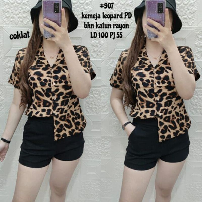 Harga pd907 Terbaru Jun 2025 | BigGo Indonesia