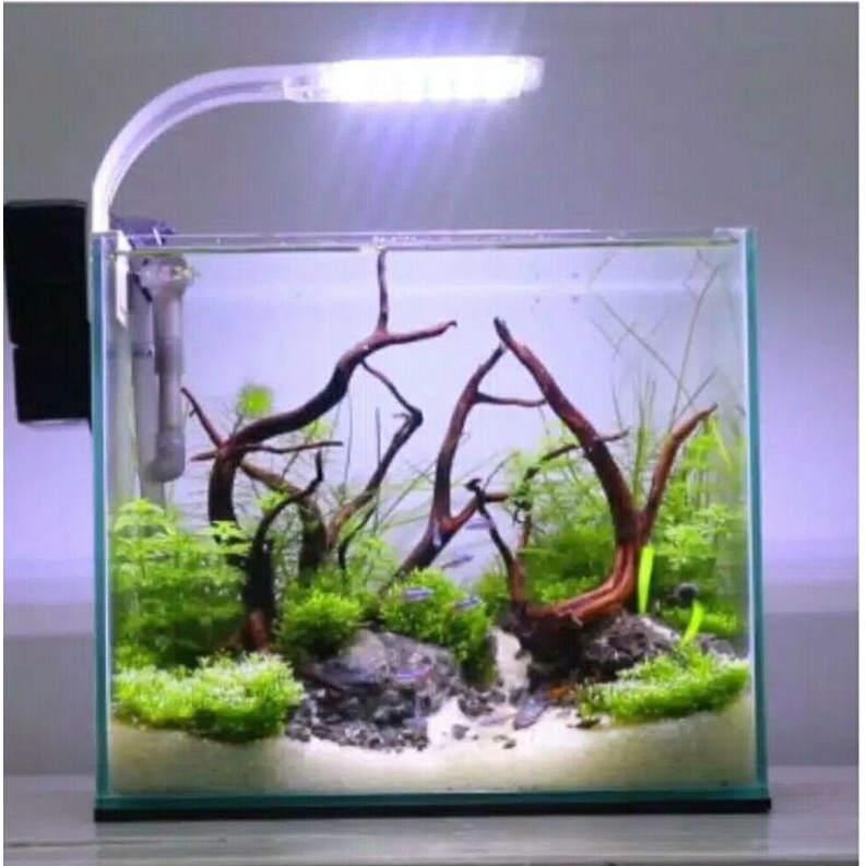 Jual Aquarium ukuran 20 20 15 Tank mini Aquascape | Shopee Indonesia