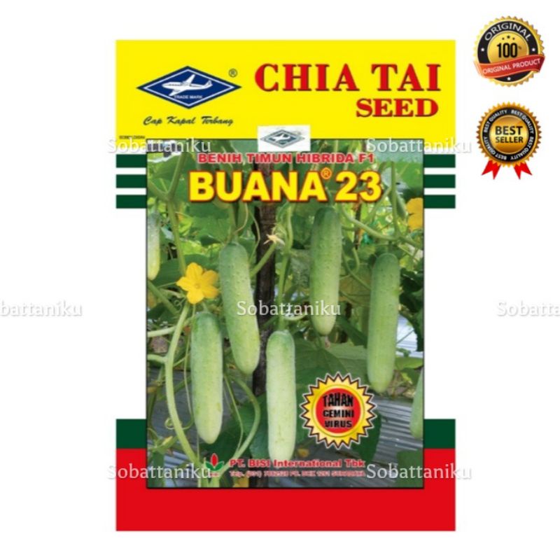 Jual COD Benih Timun BUANA 23 20 gram Timun Baby Cap Kapal Terbang ...