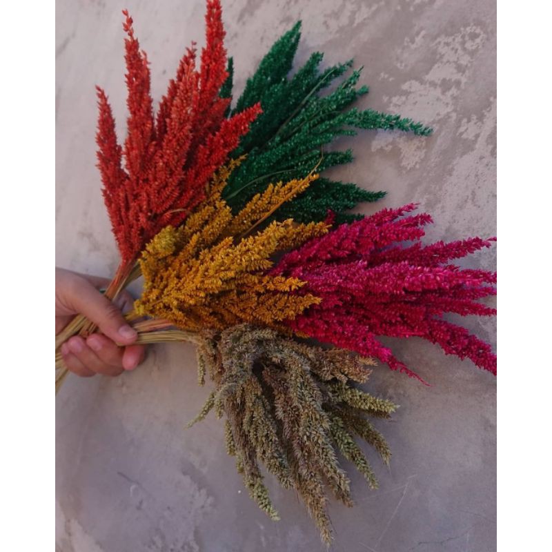 Jual Dekorasi Rustik Tanaman Daun Kering Sikas Palem Gandum Ilalang ...