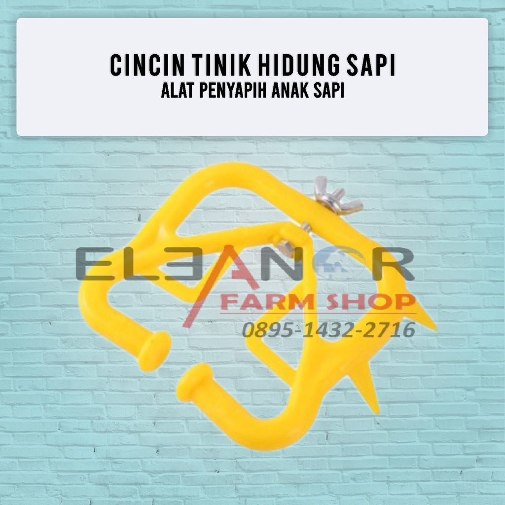 Jual Alat Penyapih Anak Sapi, Kuda, Kerbau Cincin Duri Tinik Hidung ...