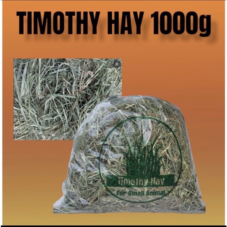 Jual Timothy Hay 1 KG | Shopee Indonesia