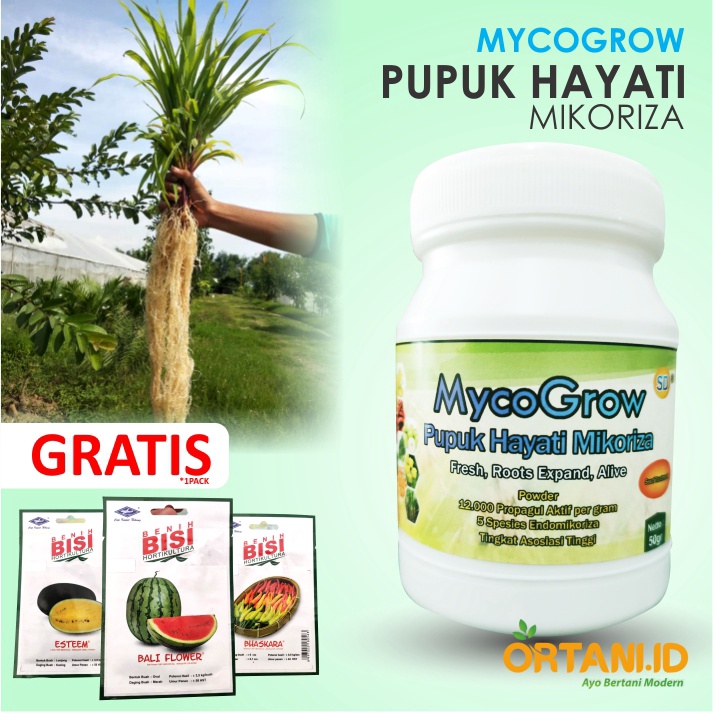 Jual Mycogrow Powder Pupuk Hayati Berbasis Mikoriza Penguat Akar ...