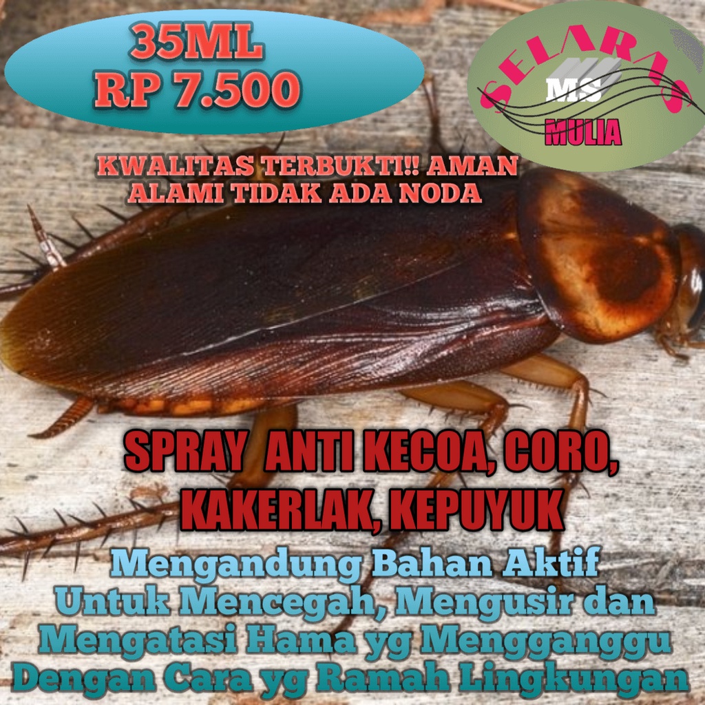 Jual Cairan Pembasmi Kecoa Alami 35 ML, Spray Pembasmi Kecoa Paling ...