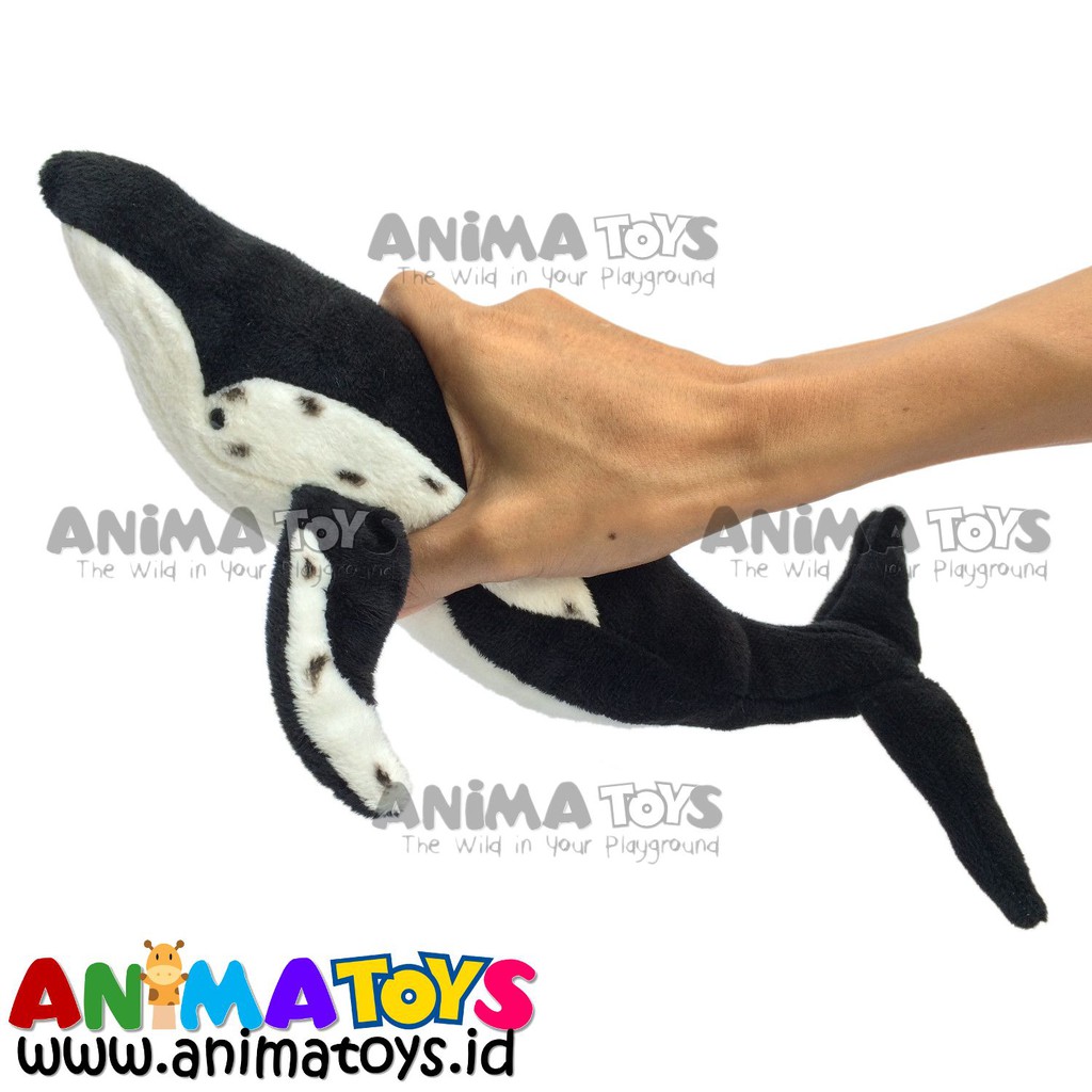 Jual Boneka Hewan Ikan Paus Bungkuk Humpback Whale Animatoys SFI069 ...