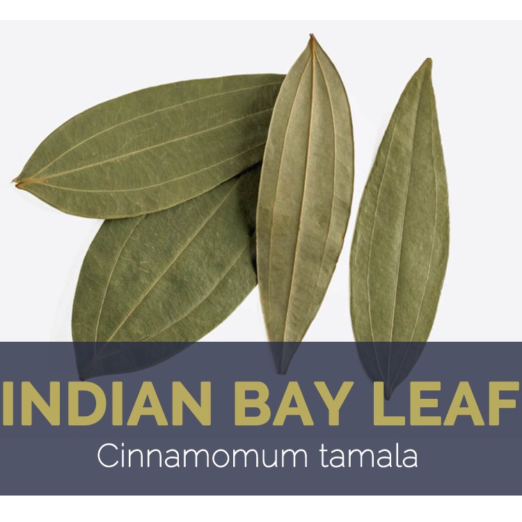 Jual Bay Leaf | Indian Bay Leaves | Daun Salam Kering IMPORT INDIA - 9gr | Shopee Indonesia