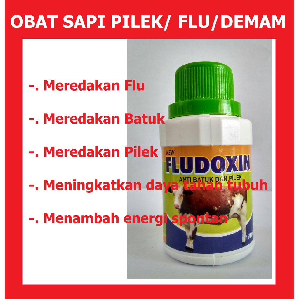 Harga Obat Sapi Demam Terbaru Oktober 2022 |BigGo Indonesia