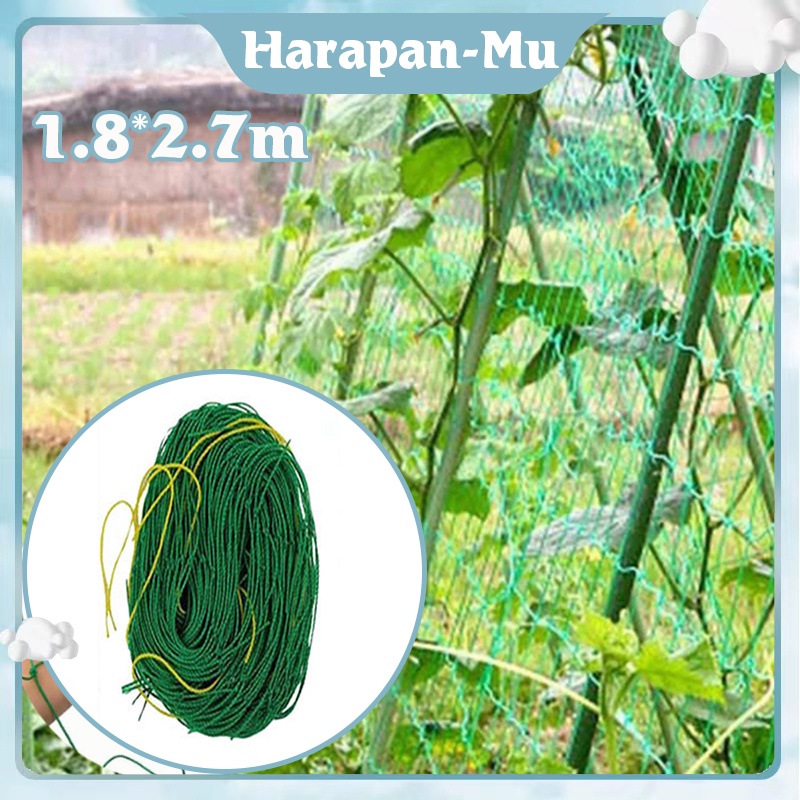 Jual jaring tanaman rambat Harga Terbaik & Termurah Februari 2023 ...