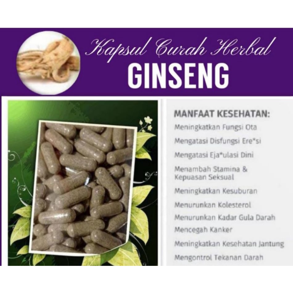 Jual Kapsul Ginseng panax radix PRODUKSI KLATEN obat herbal Booster ...