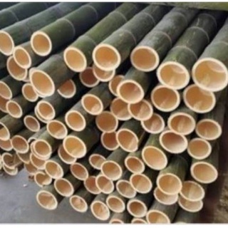 Jual 100cm Bambu Bilah 1 meter, Bambu Ajir, Bambu Turus, Bambu Belah ...