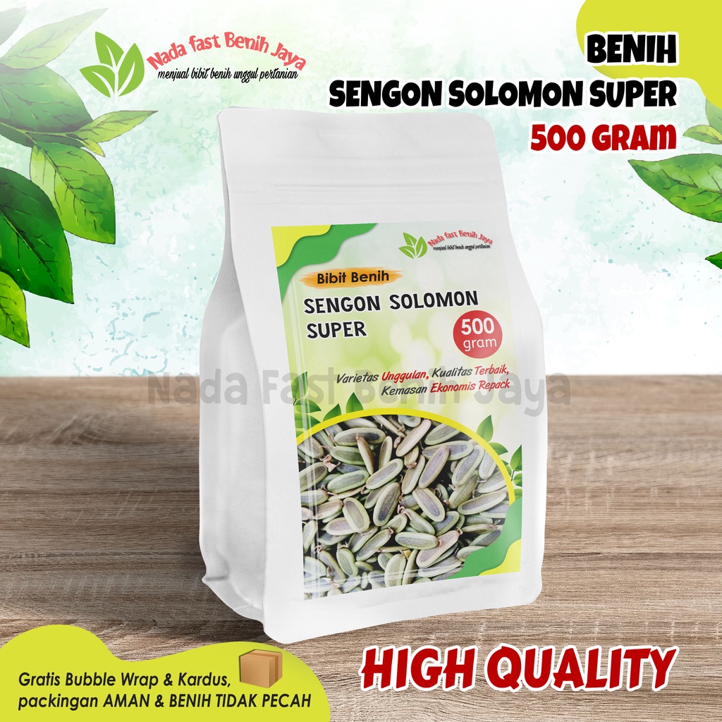 Jual Bibit benih sengon solomon 500 gram super asli /bibit pohon ...