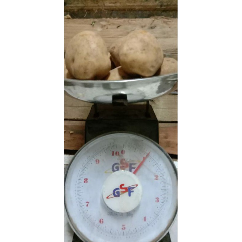 Jual kentang kuning dieng 1kg | Shopee Indonesia