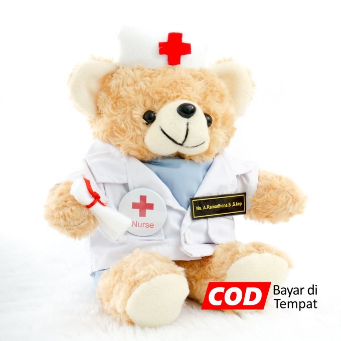 Boneka Profesi Perawat Nurse Teddy Bear Kado Wisuda | Shopee Indonesia
