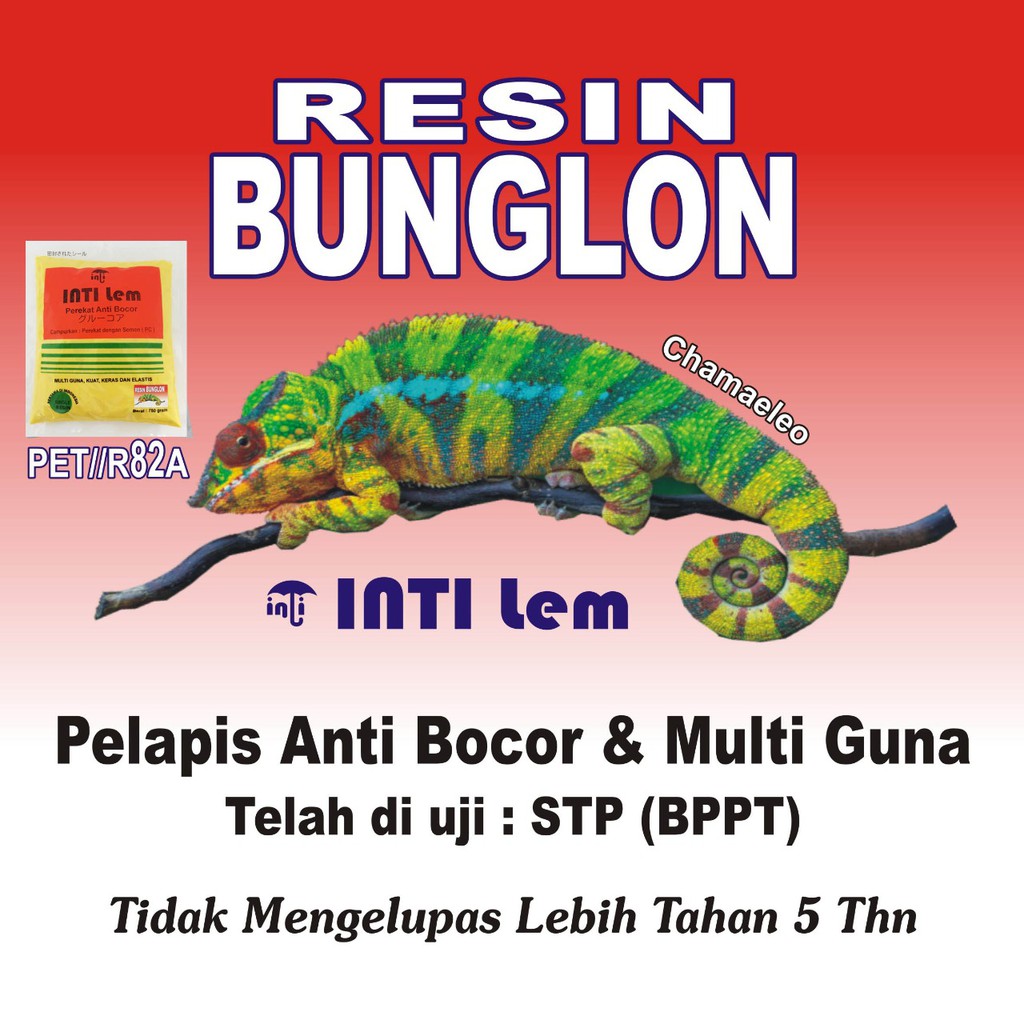 Jual Bunglon Terlengkap & Harga Terbaru Februari 2023 | Shopee Indonesia