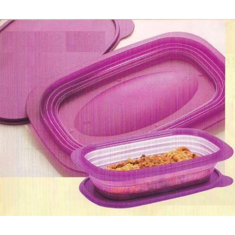 Jual Go Flex Rectangular 2.3L Tupperware | Shopee Indonesia