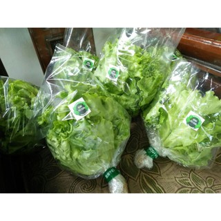 Jual Plastik Packing Sayuran Hidroponik Indonesia|Shopee Indonesia