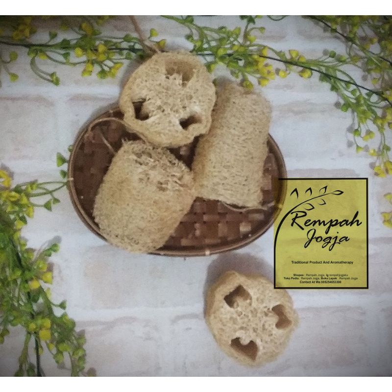 Jual LOOFAH | GAMBAS KERING | SPONS HERBAL | 100% PRODUK ORIGINAL ...