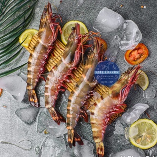 Jual Udang Tiger / Udang WINDU / UDANG FLOWER / UDANG API API / UDANG ...