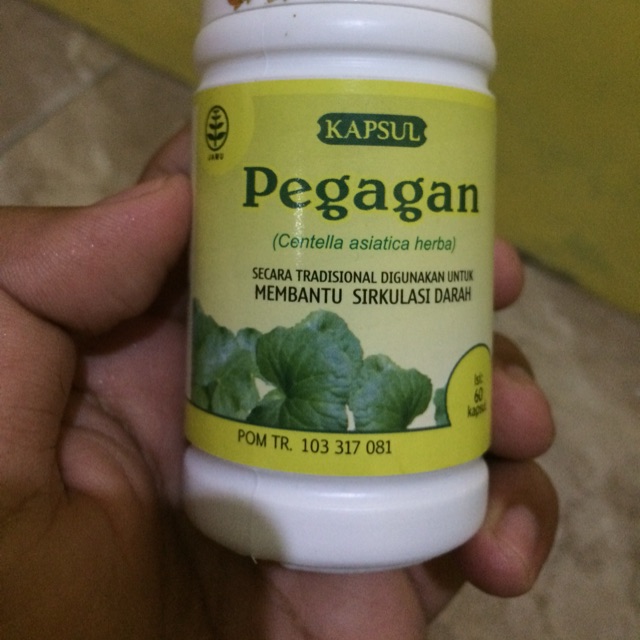 Harga Ekstrak Pegagan Terbaru Agustus 2024 |BigGo Indonesia