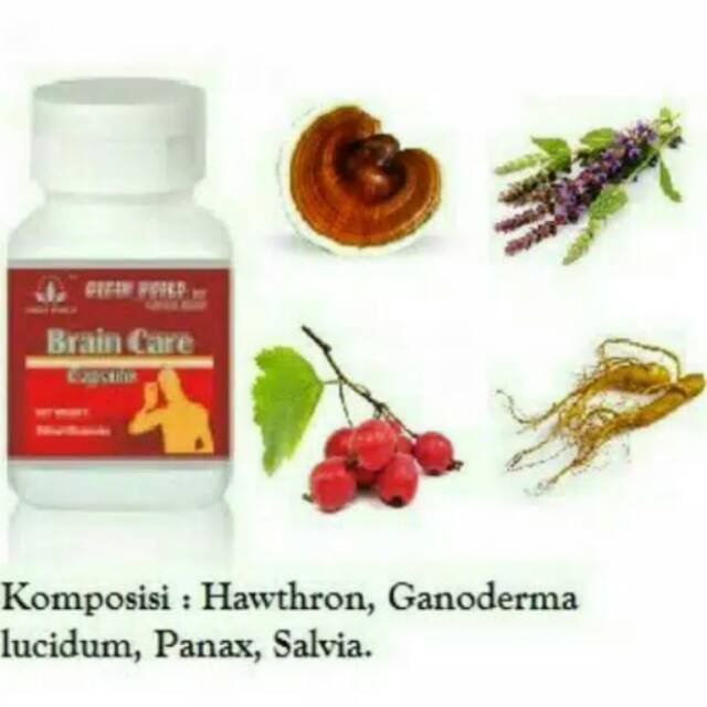 Jual BRAIN CARE/STROKE/VERTIGO/PIKUN/OBAT UNTUK OTAK YG TERSUMBAT/GEGAR ...